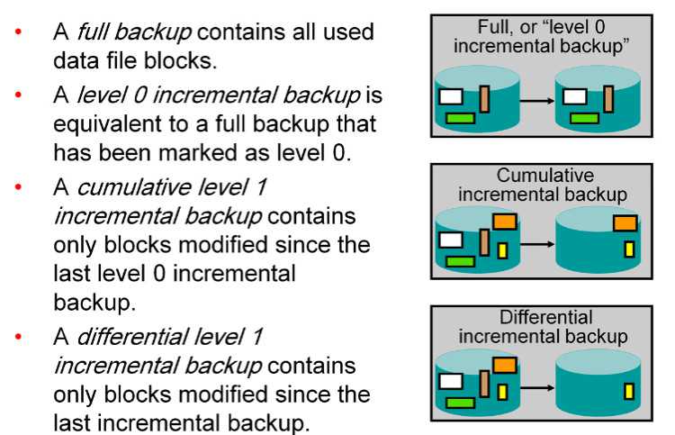030. Sao lưu và phục hồi dữ liệu oracle database: Hướng dẫn sao lưu(backup oracle database) chi ...